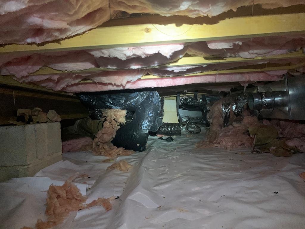 Crawl Space Damage - Summit Environmental Solutions