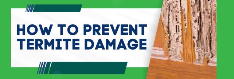How To Prevent Termite Damage - Summit Environmental Blog